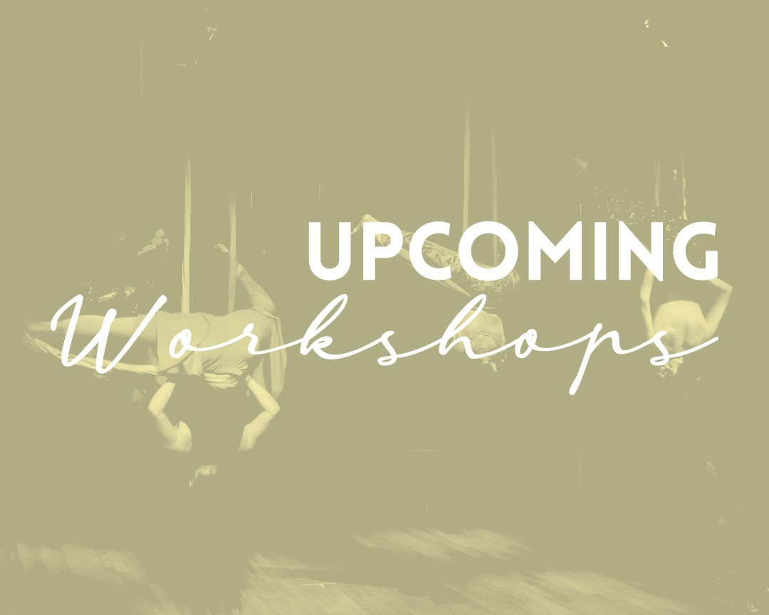 Upcoming Workshops - Canopy Studio