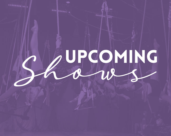 Upcoming Shows - Canopy Studio